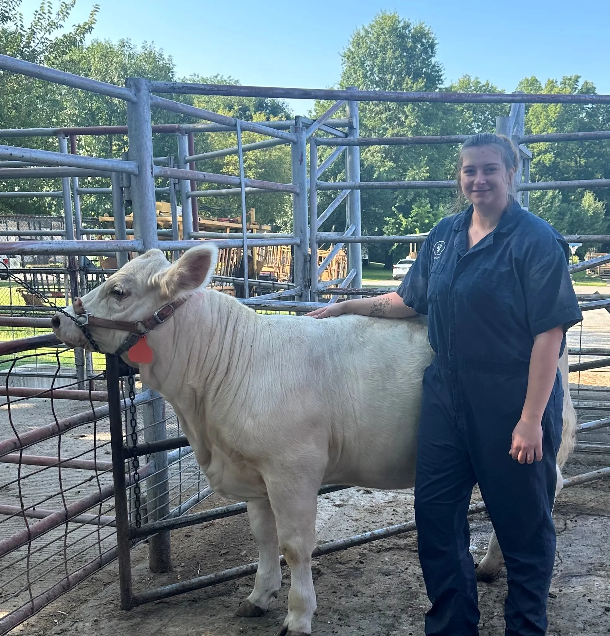 Experienced Veterinarians in Central MO | California Vet